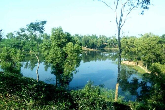 Private Luxury Escape: 2 Day Tea Gardens & Scenic Landscapes - The Sum Up