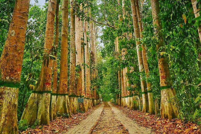 Private Luxury Escape: 2 Day Tea Gardens & Scenic Landscapes - FAQs