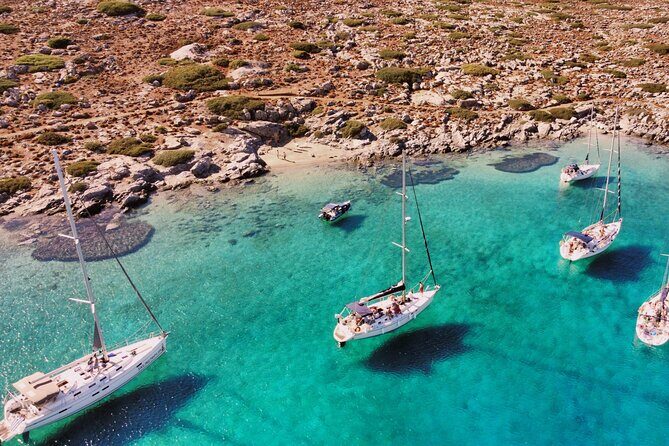 Private luxury Escape Sailing, Snorkel and Lunch Cruise - The Experience in Detail