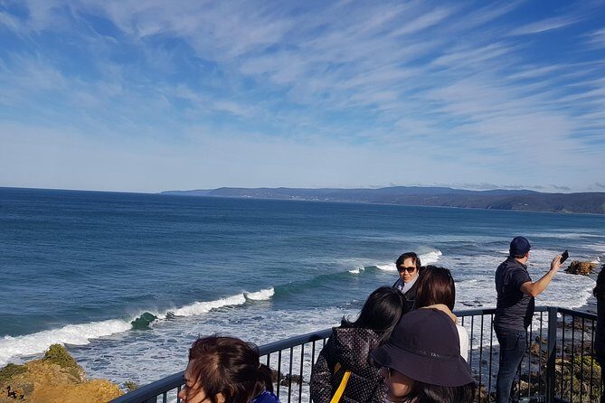 Private Luxury Great Ocean Road 2 Day Tour - Who Should Consider This Tour?