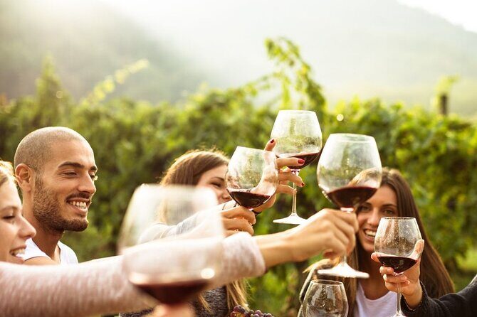 Private Luxury Hunter Valley Tour - up to 7 guests - Final Thoughts