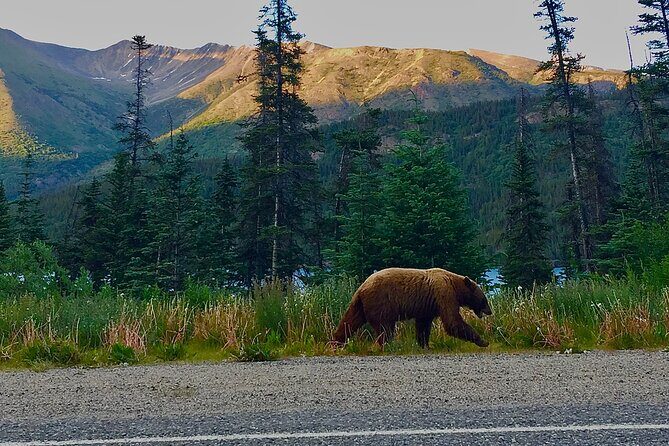 Private luxury shore excursion Skagway, AK to Emerald Lake, Yukon. - Key Points