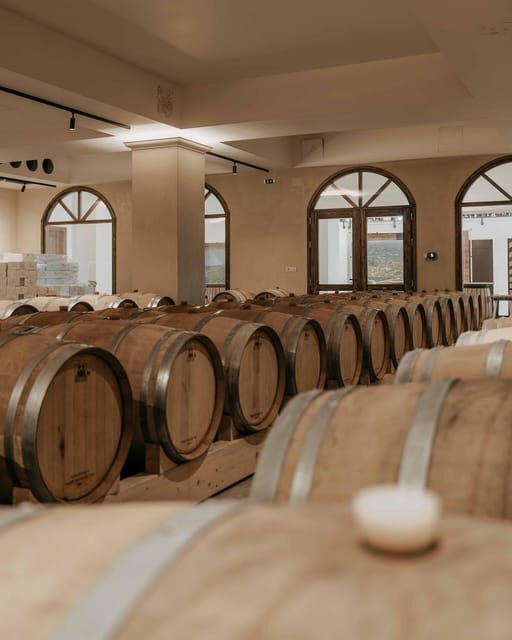 Private Luxury Special Occasion Celebration Wine Experience - Final Thoughts: Who Is This Tour For?
