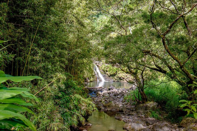 Private Luxury SUV Road to Hana Experience - Who Should Consider This Tour?