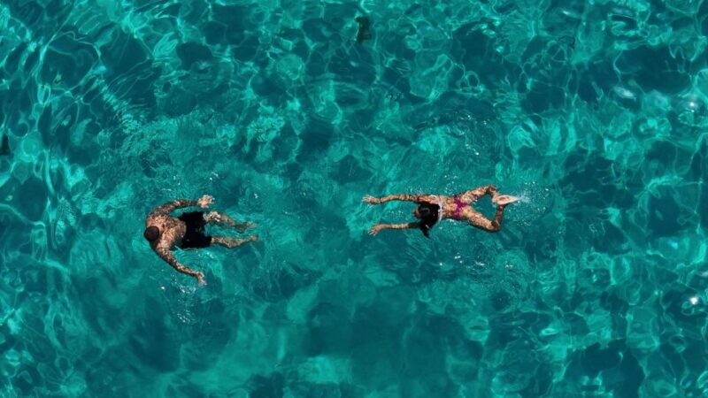Private Luxury Tour Favignana & Levanzo: beyond the usual - Why Travelers Love This Tour (and Why They Might Not)