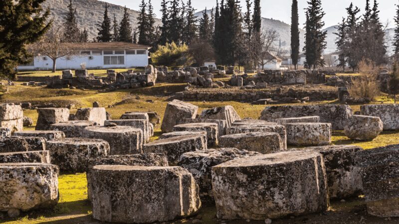 Private Luxury Tour: Nemea's Ancient Sites & Wine Tasting - Nemea Archaeological Museum