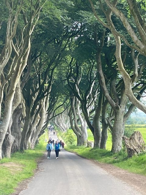 Private luxury tour of Belfast & giants causeway tickets inc - The Main Attraction: Giants Causeway & Dunluce Castle