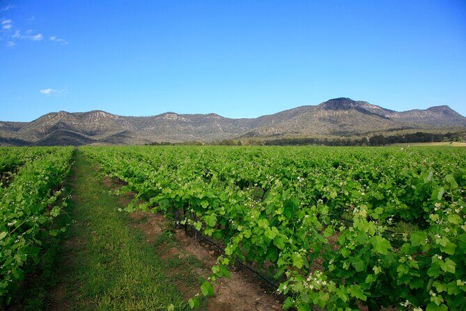 Private Luxury Tour: Tastes of the Hunter Valley - Understanding the Cost and Value