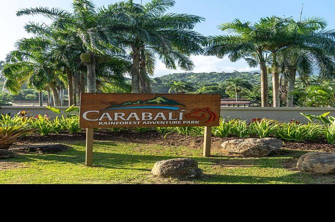 Private Luxury Transfer to Hacienda Carabalí - Final Thoughts