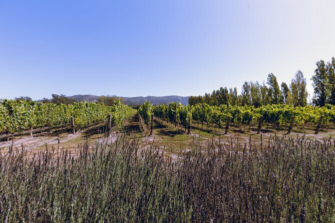 Private Luxury Transportation Experience - Sonoma - Cancellation Policy and Flexibility