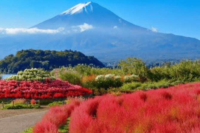 Private Luxury vellfire Tour Experience To Fuji And Hakone - A Detailed Exploration of the Tour