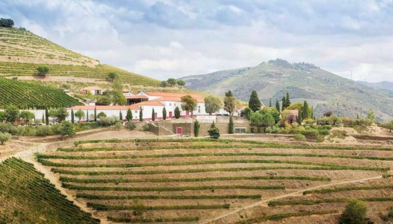 Private Luxury Wine & Food Tour in Douro - Final Thoughts: Who Is This Tour Best For?