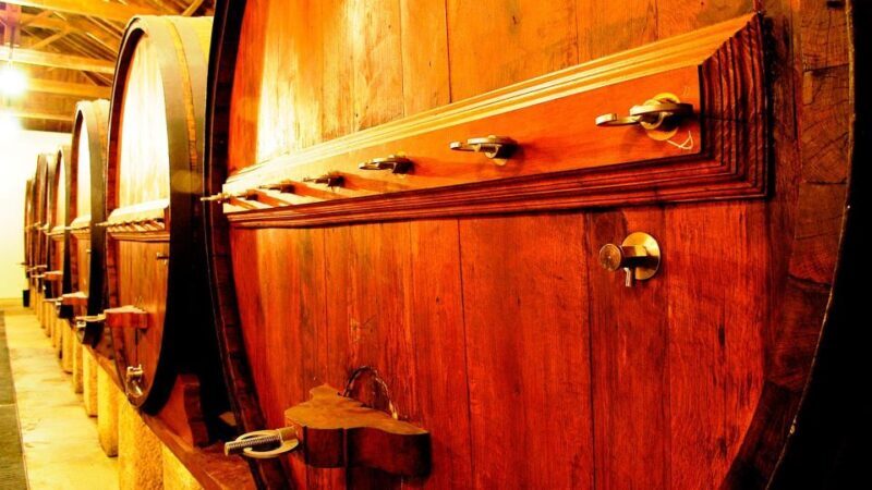 Private Luxury Wine & Food Tour in Douro - The Sum Up