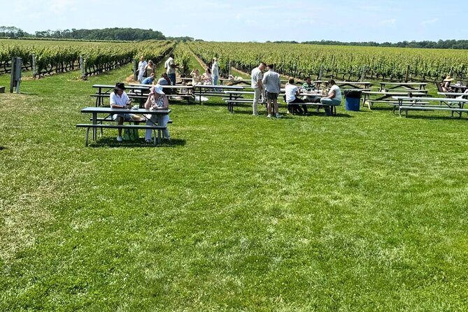 Private Luxury Wine Tours of Long Island Pindar Winery - Who Should Consider This Tour?