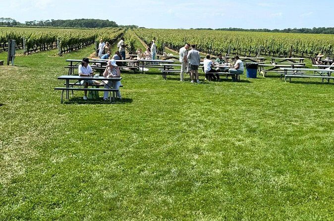 Private Luxury Wine Tours of Long Island Pindar Winery - FAQ