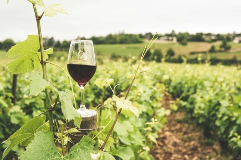 Private Luxury Winery Trip of Long Island, New York, USA - The Heart of the Experience: What Makes It Special?