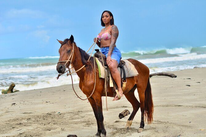Private Macao Beach horseback riding in punta cana and Bayahibe - The Horses and Environment