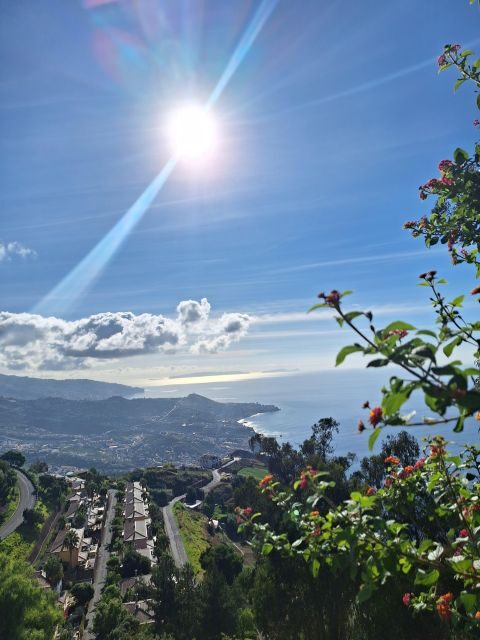 Private Madeira Complete Full Day Tour - Final Thoughts