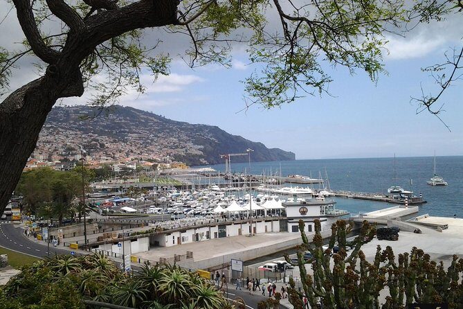 Private Madeira Tour up to 4 people - Final Thoughts