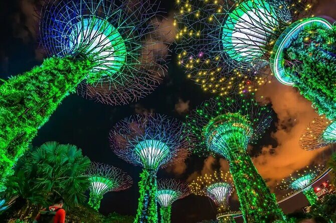 Private :Magical Nights in River Cruises and Stunning Light Shows - Practical Tips for Travelers