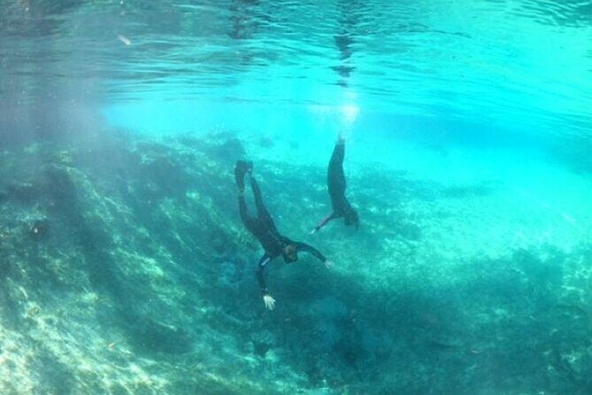 Private Manatee Snorkel Tour with FREE Photo Package - In-Depth Itinerary Breakdown