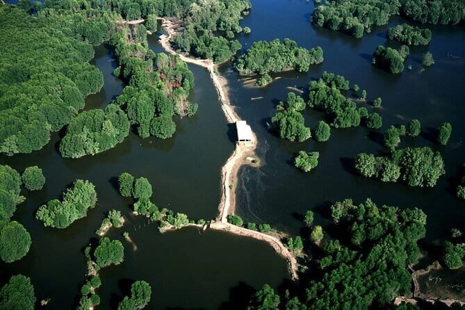 Private Mangrove Forest and Monkey Island Exploration - Key Points