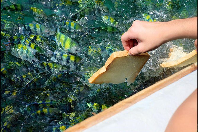 Private Mangrove Tour 3 Hour (max 8 People) - Key Points