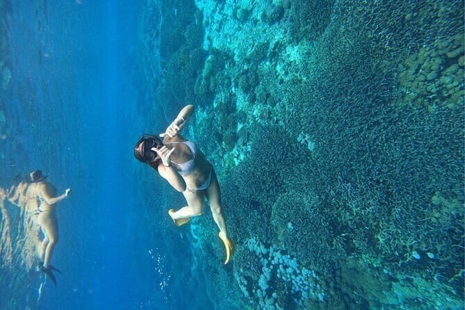 Private Manta Snorkeling Trips from Nusa Lembongan - The Real Value of the Experience