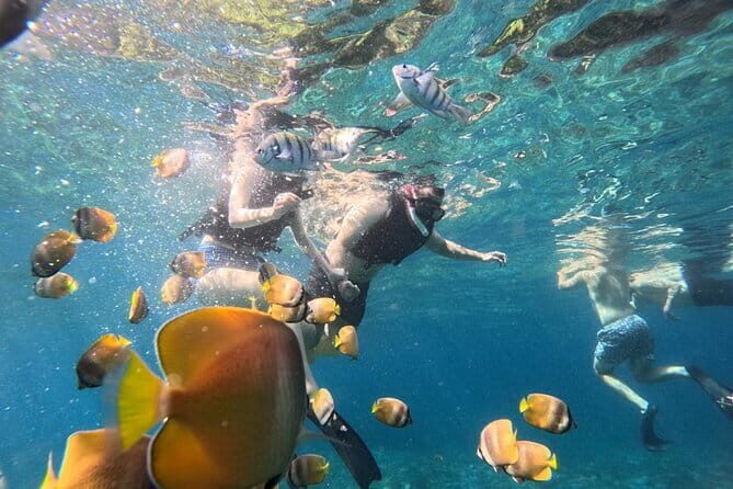 Private Manta Snorkeling Trips from Nusa Lembongan - FAQ