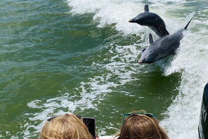 Private Marco Island / 10,000 Islands Sightseeing & Dolphin Tour - What to Expect in Practice