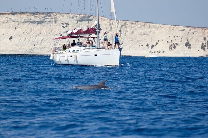Private Marine Life Spotting - Dolphin watching EcoMarine Malta - Key Points