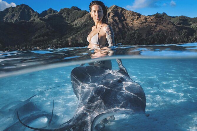 Private Marine Wildlife Adventure with Underwater Photography - Key Points