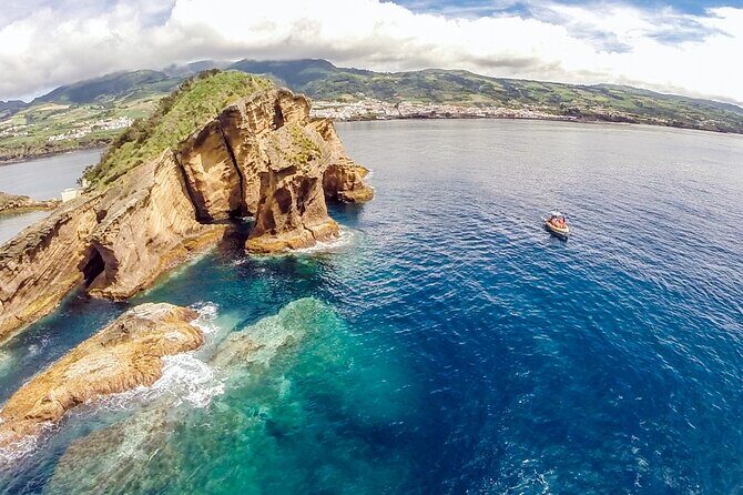 Private Marine Wildlife Boat Tour - Why Choose This Boat Tour?