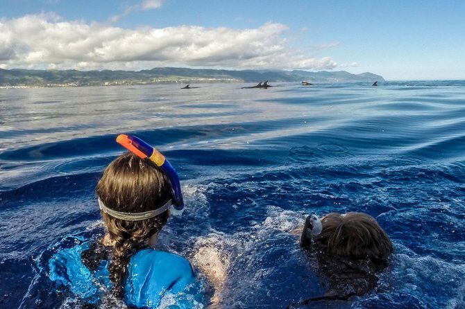 Private Marine Wildlife Boat Tour - Real Traveler Feedback