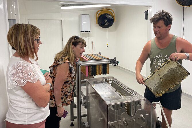 Private Martinborough Foodie Delights Tour from Wellington - Authenticity and Guest Feedback