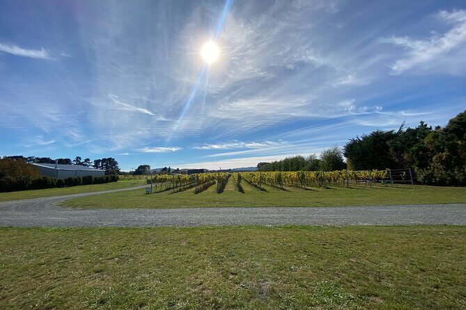 Private Martinborough Wine Tour for Wine Enthusiasts - Who Is This Tour Best Suited For?