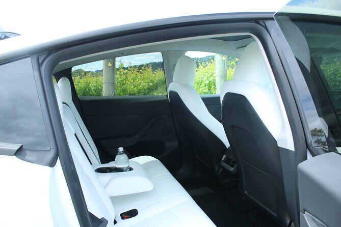 Private Martinborough Wine Tour in an Electric Vehicle - Tesla Model Y - Schubert Wines – Discovering an Award-Winning Vigneron
