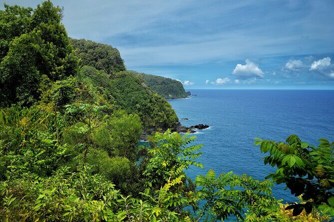 Private Maui Redwood Hiking Experience - Key Points