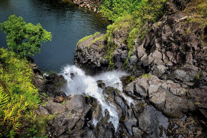 Private Maui Redwood Hiking Experience - An Overview of the Tour: What to Expect