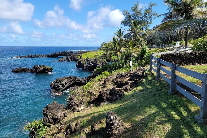 Private Maui Redwood Hiking Experience - Practical Details and Considerations