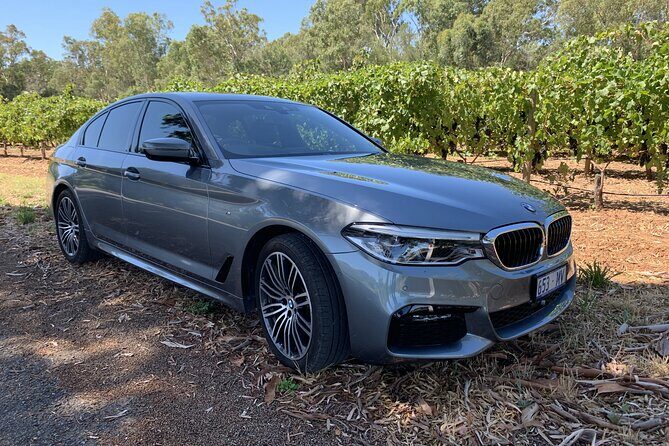 Private McLaren Vale Wine Region Tour from Adelaide - Authentic Experiences Highlighted in Reviews