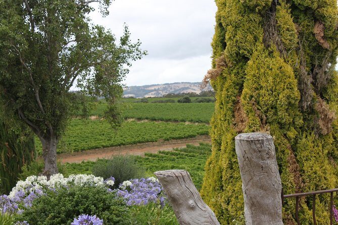 Private McLaren Vale Wine Region Tour from Adelaide - Who Should Book This Tour