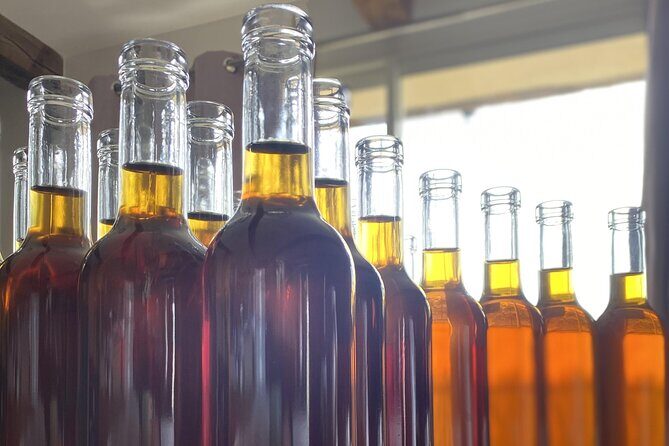 Private Mead Taste Experience in Lourdes - The Practicalities: Bookings, Costs, and Tips