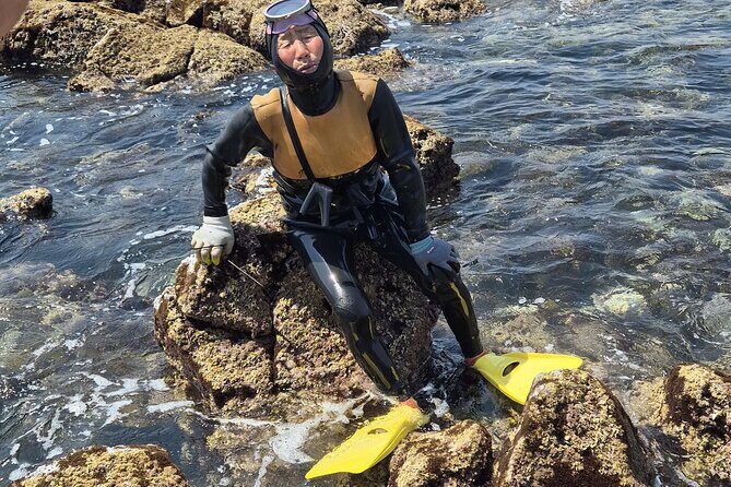 Private Meeting with a Haenyeo: Jeju Shore Excursion - Why This Tour Is Worth Considering