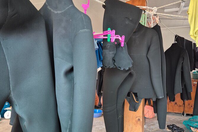 Private Meeting with a Haenyeo: Jeju Shore Excursion - FAQs