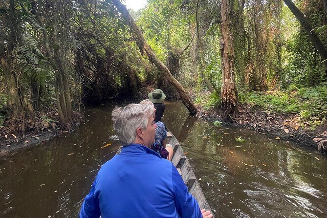 Private Mekong Delta Tour: Cai Be Village and Cajuput Forest - A Closer Look at the Itinerary