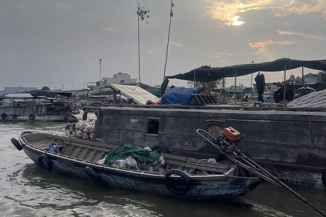 Private Mekong Delta Tour: Cai Be Village and Cajuput Forest - Who Should Consider This Tour?