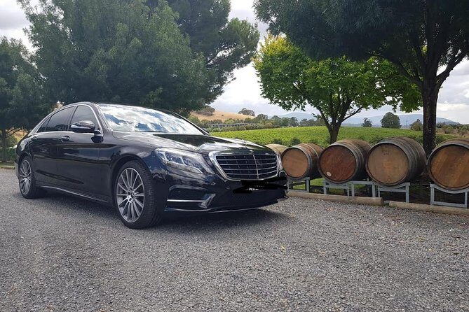 Private Melbourne CBD Sightseeing Tour luxury vehicle - Key Points