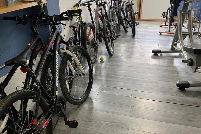 Private Mexico City Biking Tour - The Sum Up: Who Should Consider This Tour