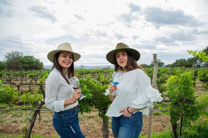 Private Mexico City Wine Tour: Hidden Valley Vineyards - Practical Details: What You Need to Know